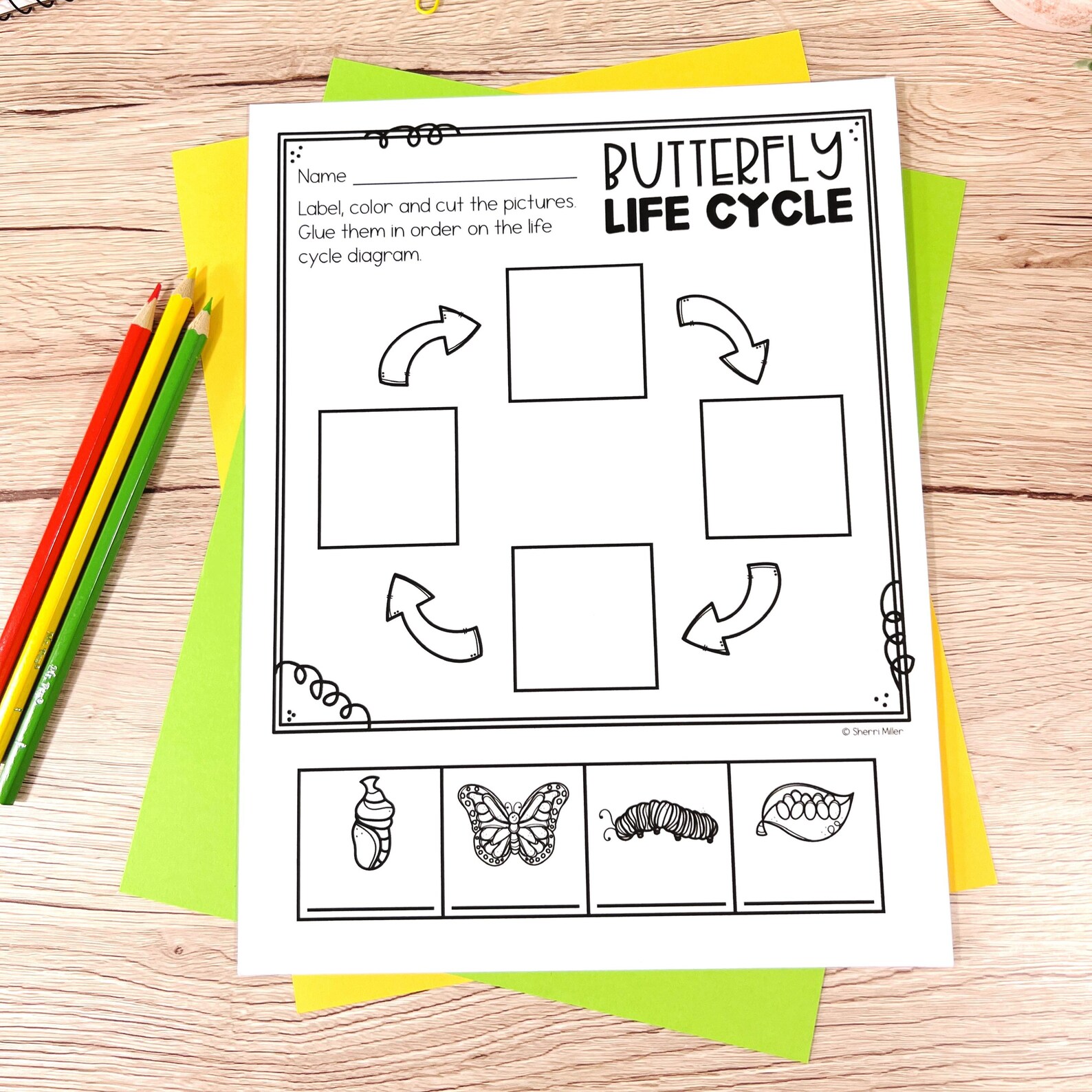 Butterfly Life Cycle Lesson Sequencing Vocabulary Posters Craft Cut and ...