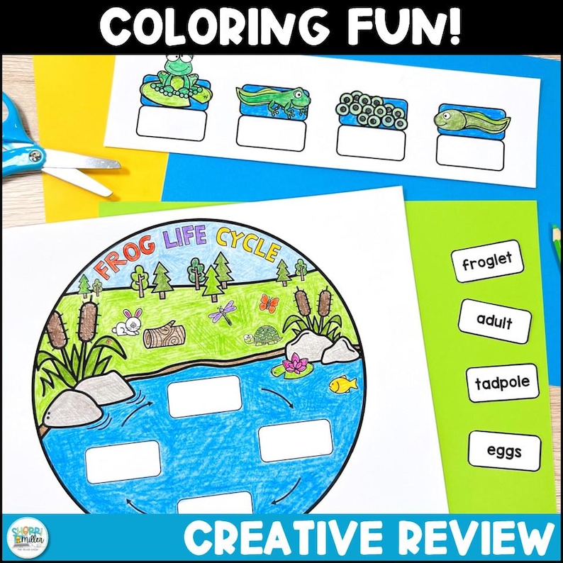 Frog Life Cycle Craft, Frog Coloring Pages Craft, 2nd Grade and 3rd ...