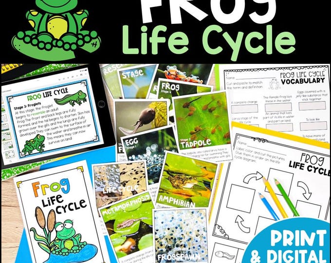 Life Cycle of a Plant Anchor Charts - 2nd 3rd Grade Life Science ...