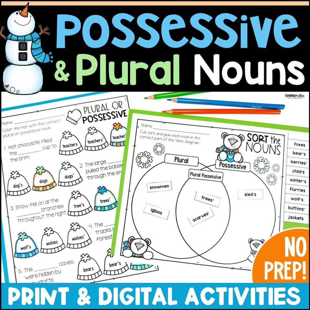 Winter Plural Nouns, Singular & Plural Possessive Nouns, Fun ELA ...