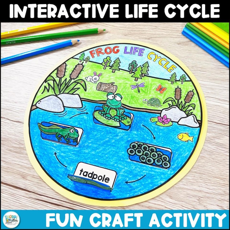 Frog Life Cycle Craft, Frog Coloring Pages Craft, 2nd Grade and 3rd ...
