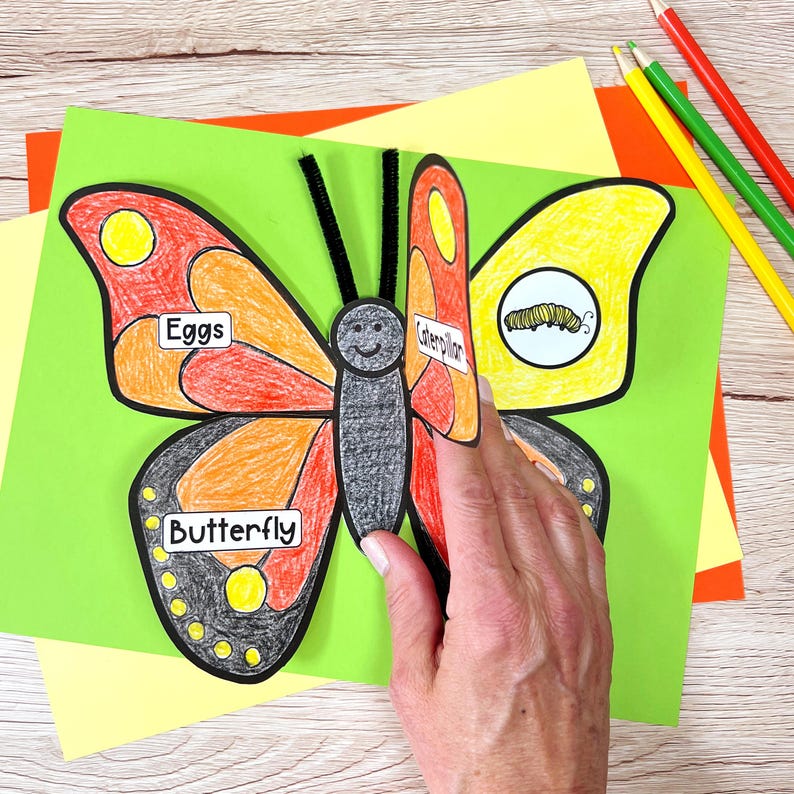 Butterfly Life Cycle Craft, Life Cycle of a Butterfly Writing , 2nd ...