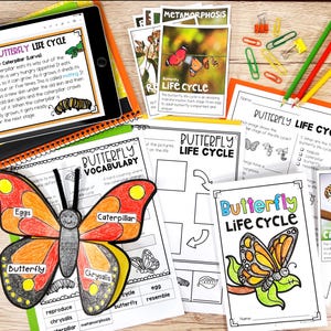 Butterfly Life Cycle Lesson Sequencing Vocabulary Posters Craft Cut and ...