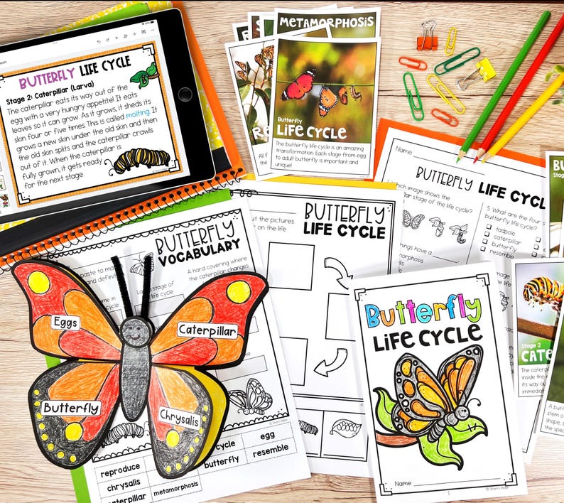 Butterfly Life Cycle Lesson Sequencing Vocabulary Posters Craft Cut and ...