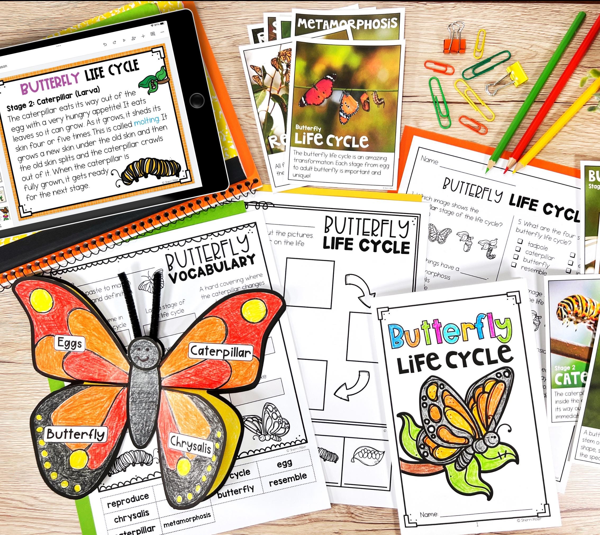 Butterfly Life Cycle Lesson Sequencing Vocabulary Posters Craft Cut and ...