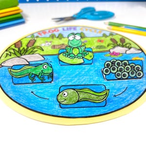 Frog Life Cycle Craft, Frog Coloring Pages Craft, 2nd Grade and 3rd ...