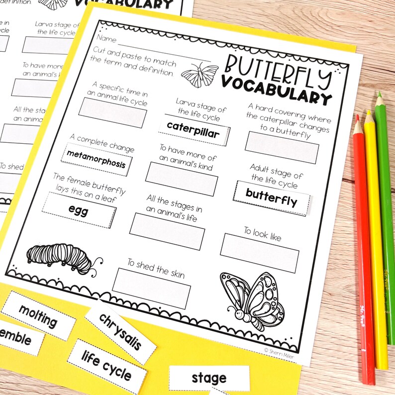 Butterfly Life Cycle Lesson Sequencing Vocabulary Posters Craft Cut and ...