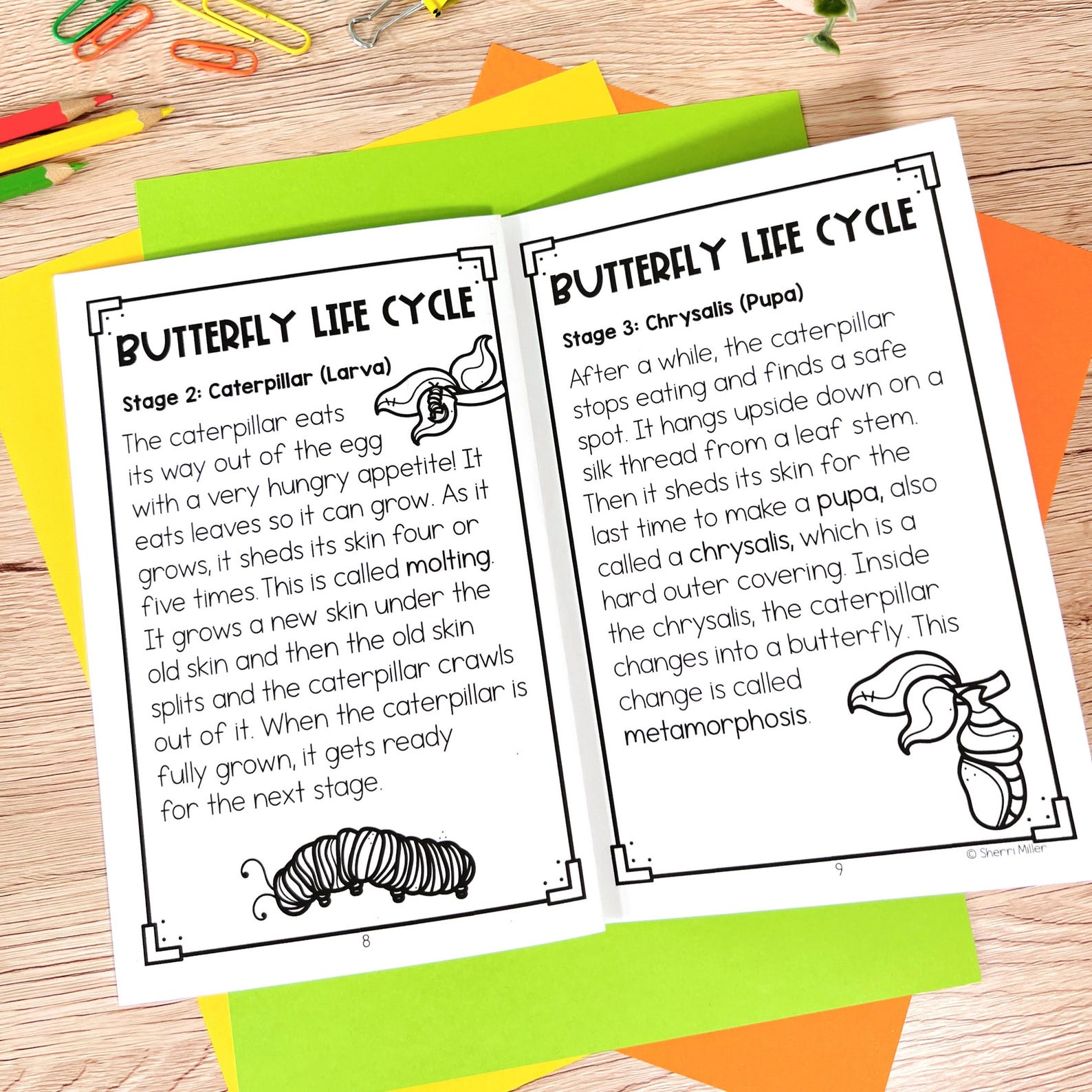 Butterfly Life Cycle Lesson Sequencing Vocabulary Posters Craft Cut and ...