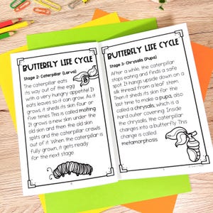 Butterfly Life Cycle Lesson Sequencing Vocabulary Posters Craft Cut and ...