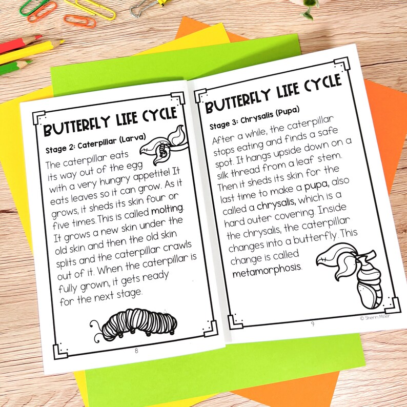 Butterfly Life Cycle Lesson Sequencing Vocabulary Posters Craft Cut and ...