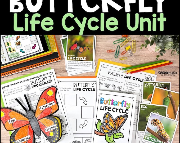 Life Cycle of a Plant Anchor Charts - 2nd 3rd Grade Life Science ...
