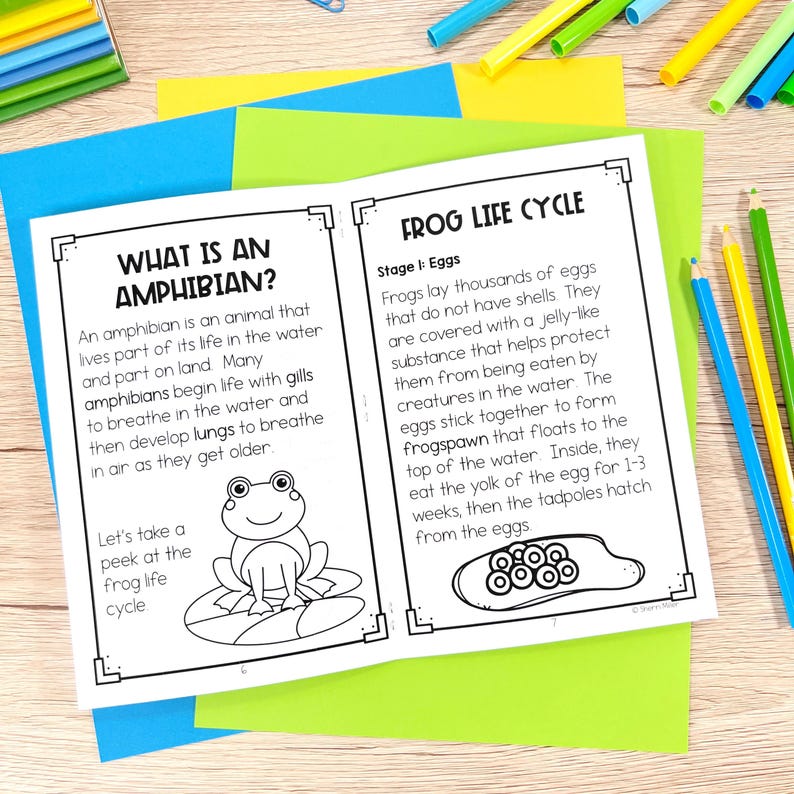 Frog Life Cycle Lesson Sequencing Vocabulary Posters Craft Cut and ...