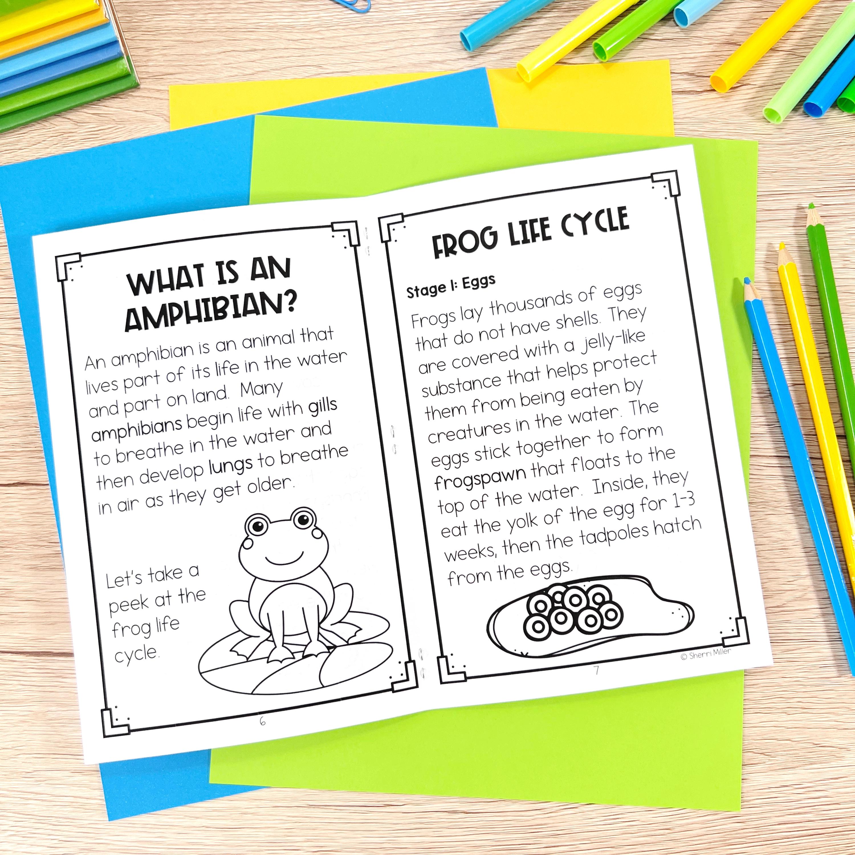 Frog Life Cycle Lesson Sequencing Vocabulary Posters Craft Cut and ...