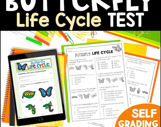 Life Cycle of a Plant Anchor Charts - 2nd 3rd Grade Life Science ...