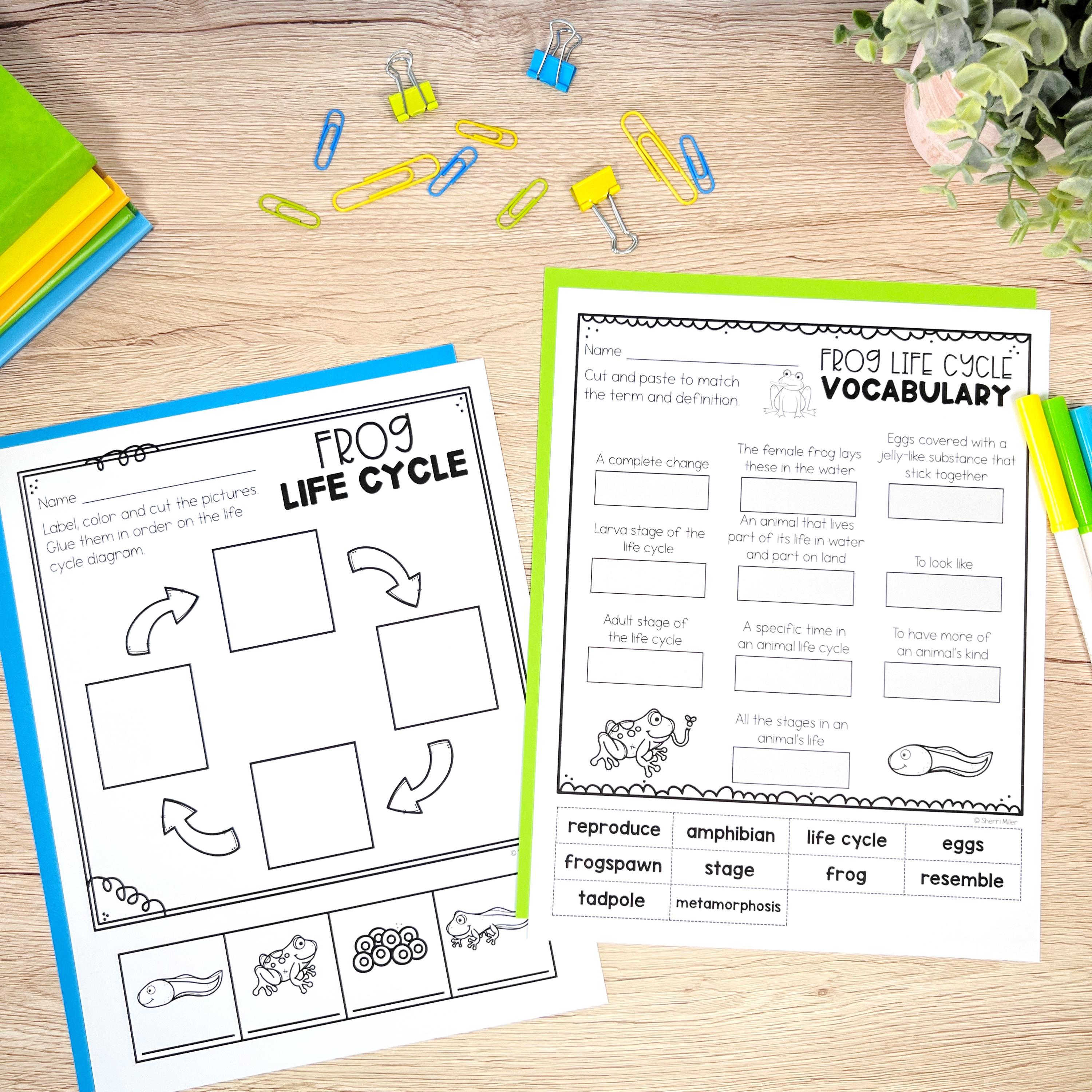 Frog Life Cycle Lesson Sequencing Vocabulary Posters Craft Cut and ...
