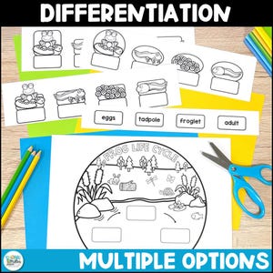 Frog Life Cycle Craft, Frog Coloring Pages Craft, 2nd Grade and 3rd ...