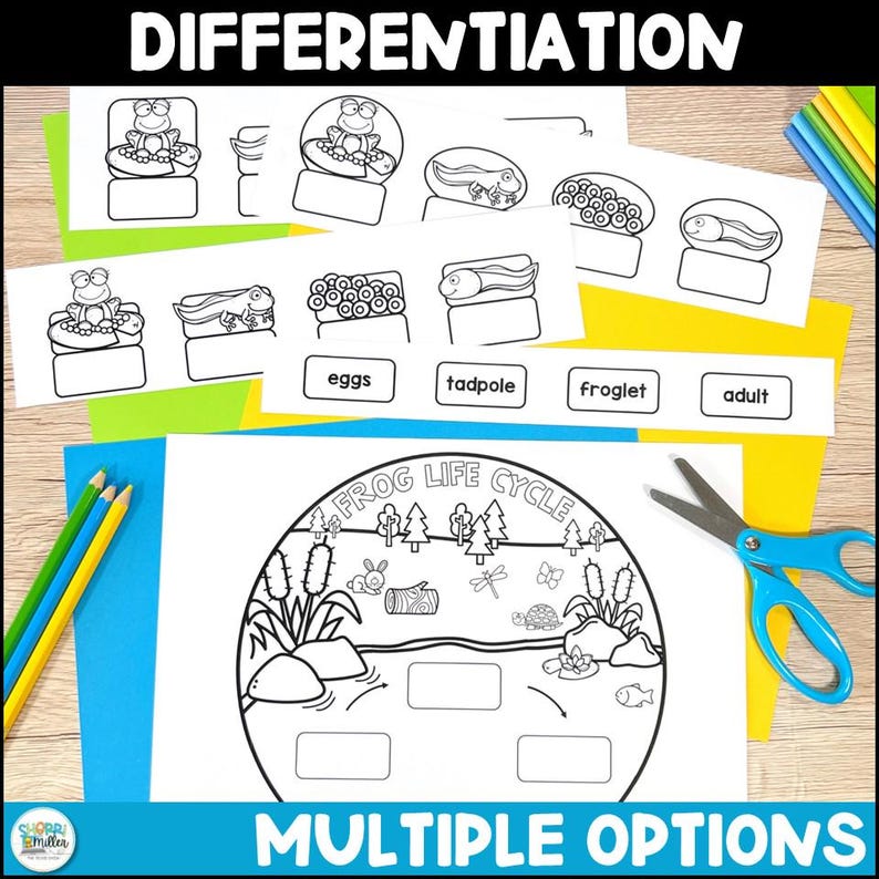 Frog Life Cycle Craft, Frog Coloring Pages Craft, 2nd Grade and 3rd ...