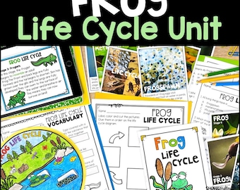 Frog Life Cycle Cut and Paste Worksheet - Etsy