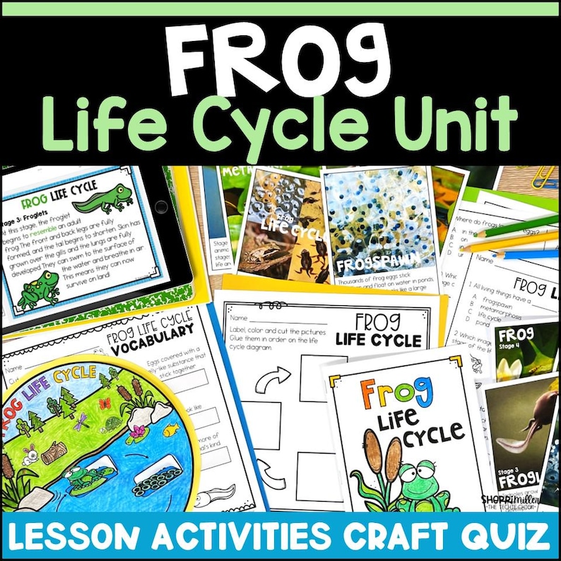Frog Life Cycle Lesson Sequencing Vocabulary Posters Craft Cut and ...