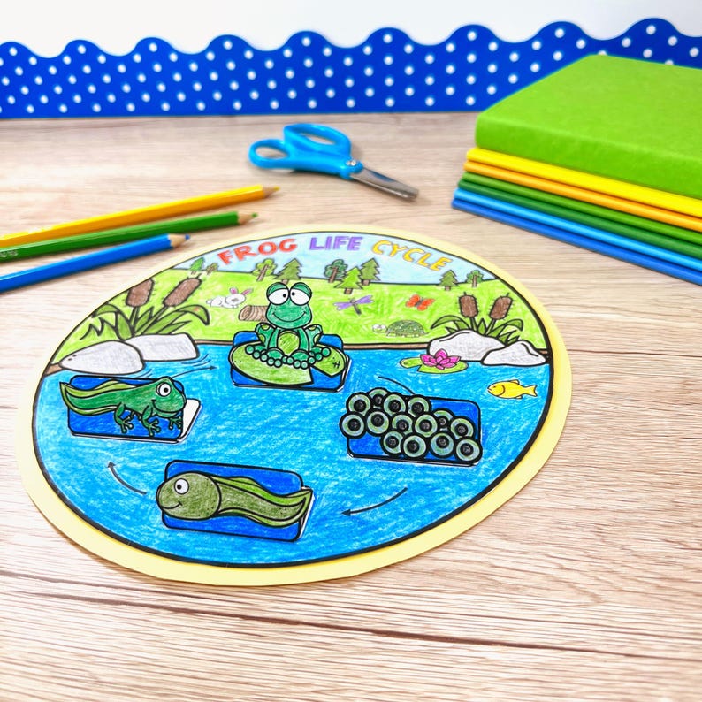 Frog Life Cycle Craft, Frog Coloring Pages Craft, 2nd Grade and 3rd ...