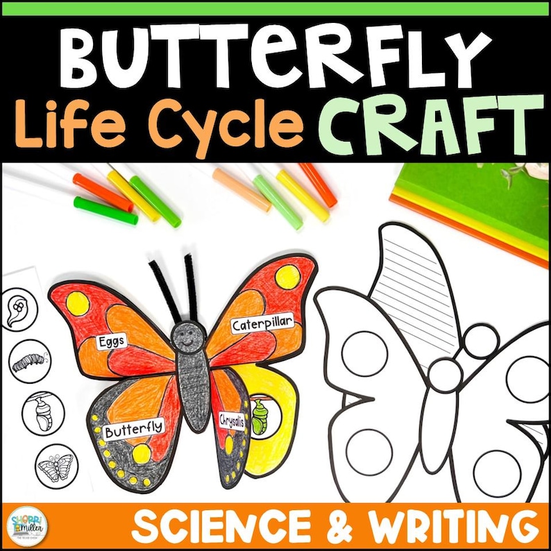 Butterfly Life Cycle Craft, Life Cycle of a Butterfly Writing , 2nd ...