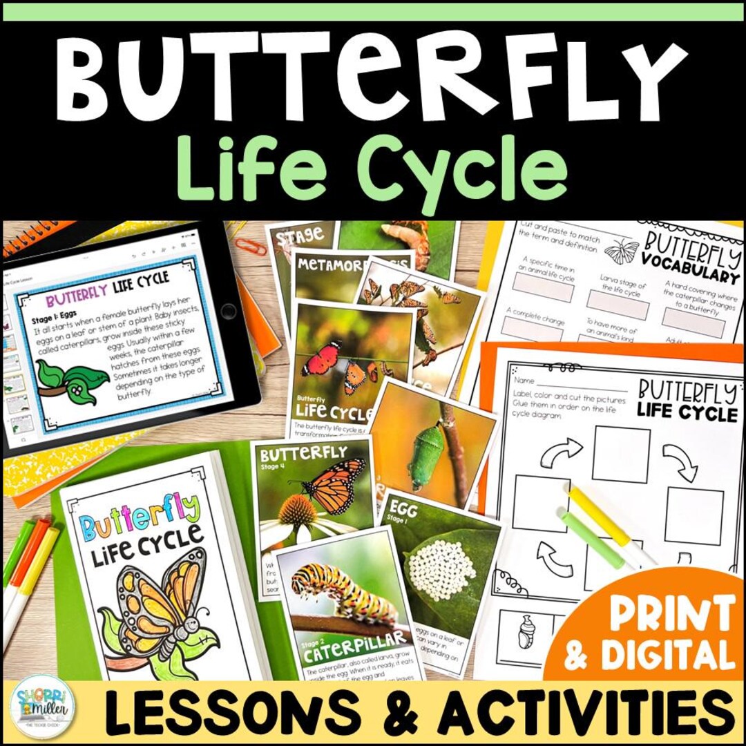 Butterfly Life Cycle Lessons Sequencing Vocabulary Posters Cut and ...