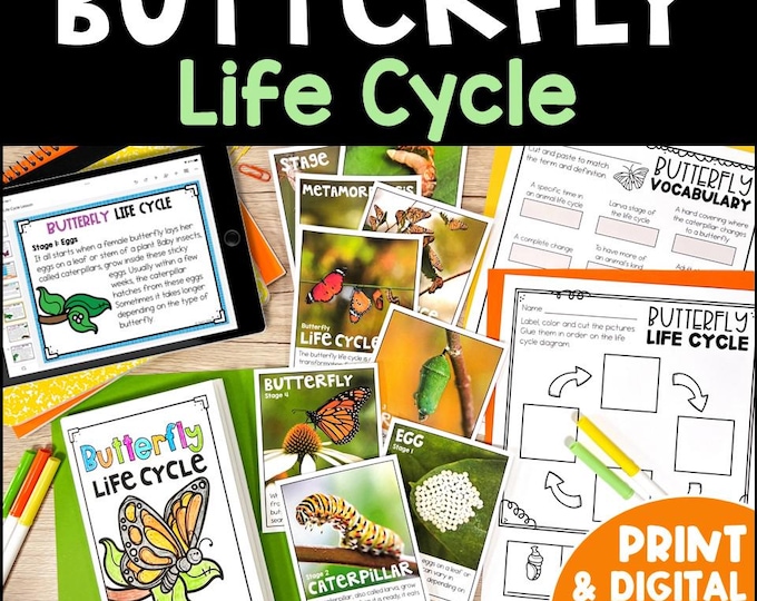 Life Cycle of a Plant Anchor Charts - 2nd 3rd Grade Life Science ...