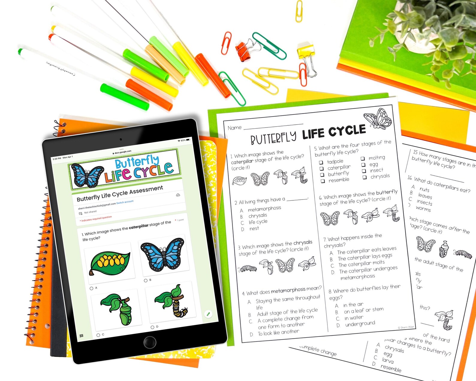 Butterfly Life Cycle Lesson Sequencing Vocabulary Posters Craft Cut and ...