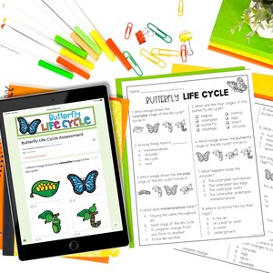 Butterfly Life Cycle Lesson Sequencing Vocabulary Posters Craft Cut and ...