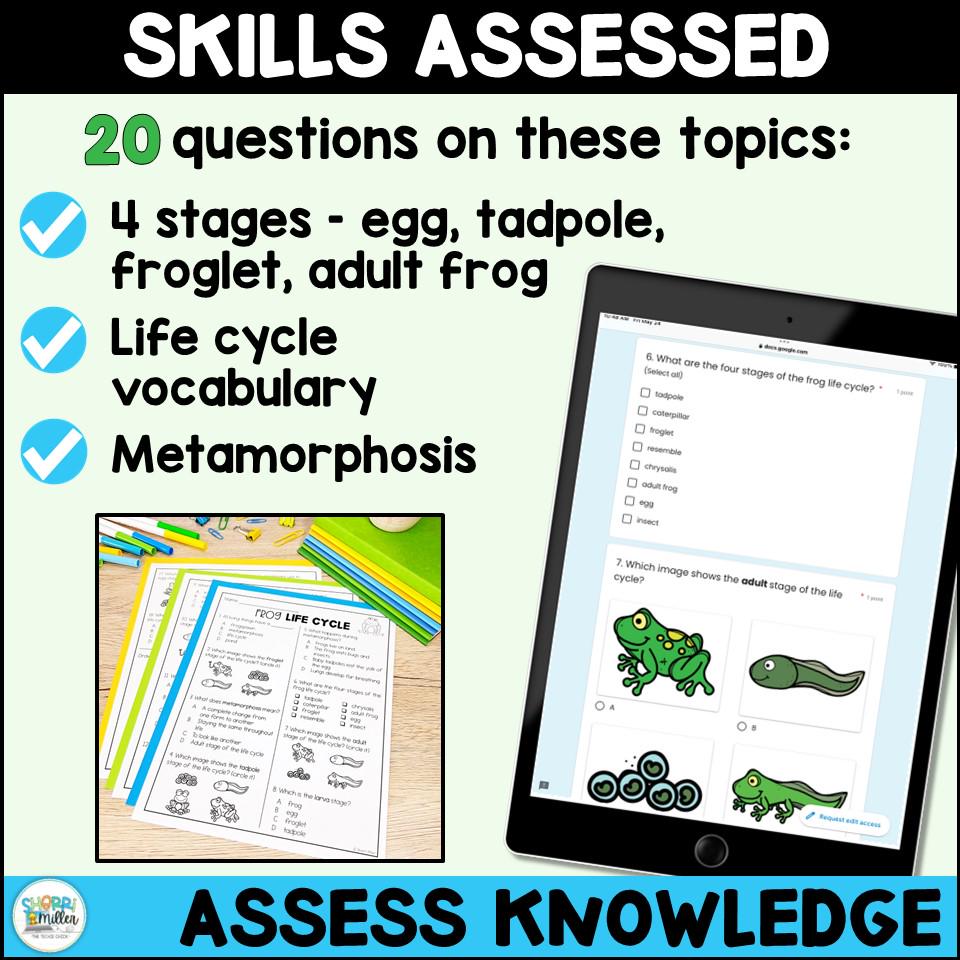 Life Cycle of a Frog Science Test, Vocabulary and Stages, 2nd & 3rd ...