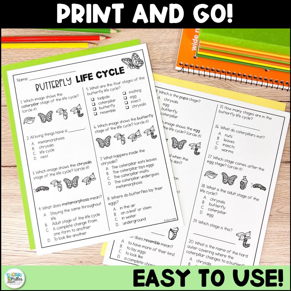 Life Cycle of a Butterfly Test, Vocabulary and Stages, 2nd & 3rd Grade ...