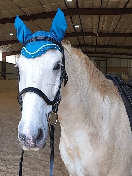 Sage Green Ear Bonnet / Fly Bonnet / Horse Bonnet / Fly Net, Cob Size ...