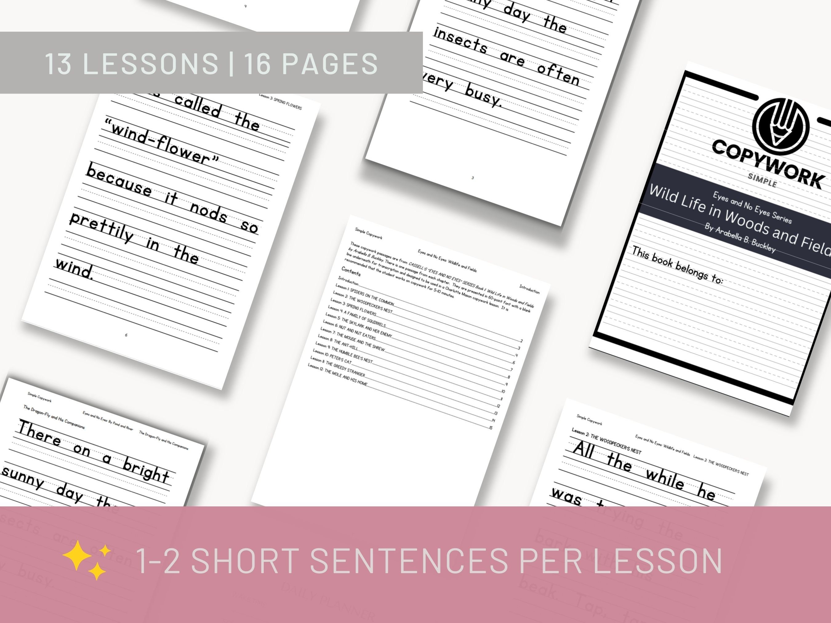 Eyes and No Eye: Wild Life in Wood Handwriting and Copywork for ...