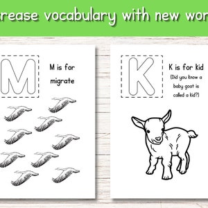 Spring Vocabulary Coloring Pages | Pre-k and Kindergarten Worksheets ...