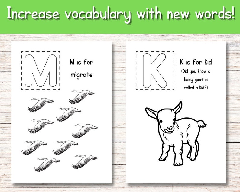 Spring Vocabulary Coloring Pages | Pre-k and Kindergarten Worksheets ...