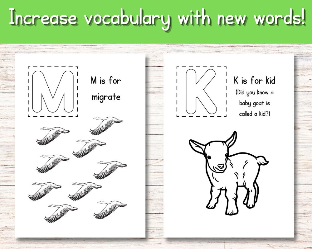 Spring Vocabulary Coloring Pages | Pre-k and Kindergarten Worksheets ...
