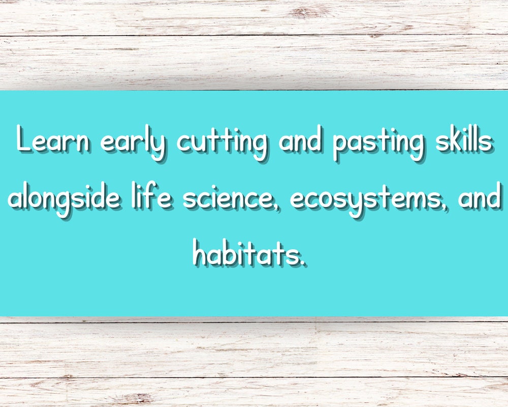 Montessori Inspired Preschool Cutting Strips | Early Scissor Skills ...