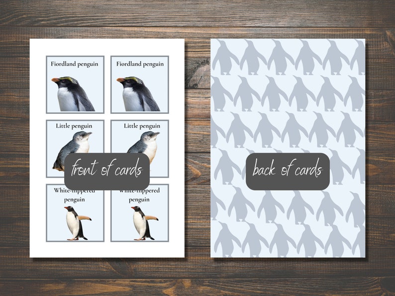 Penguin Memory Game for Kids | Penguin Homeschool Unit Study | Learning ...