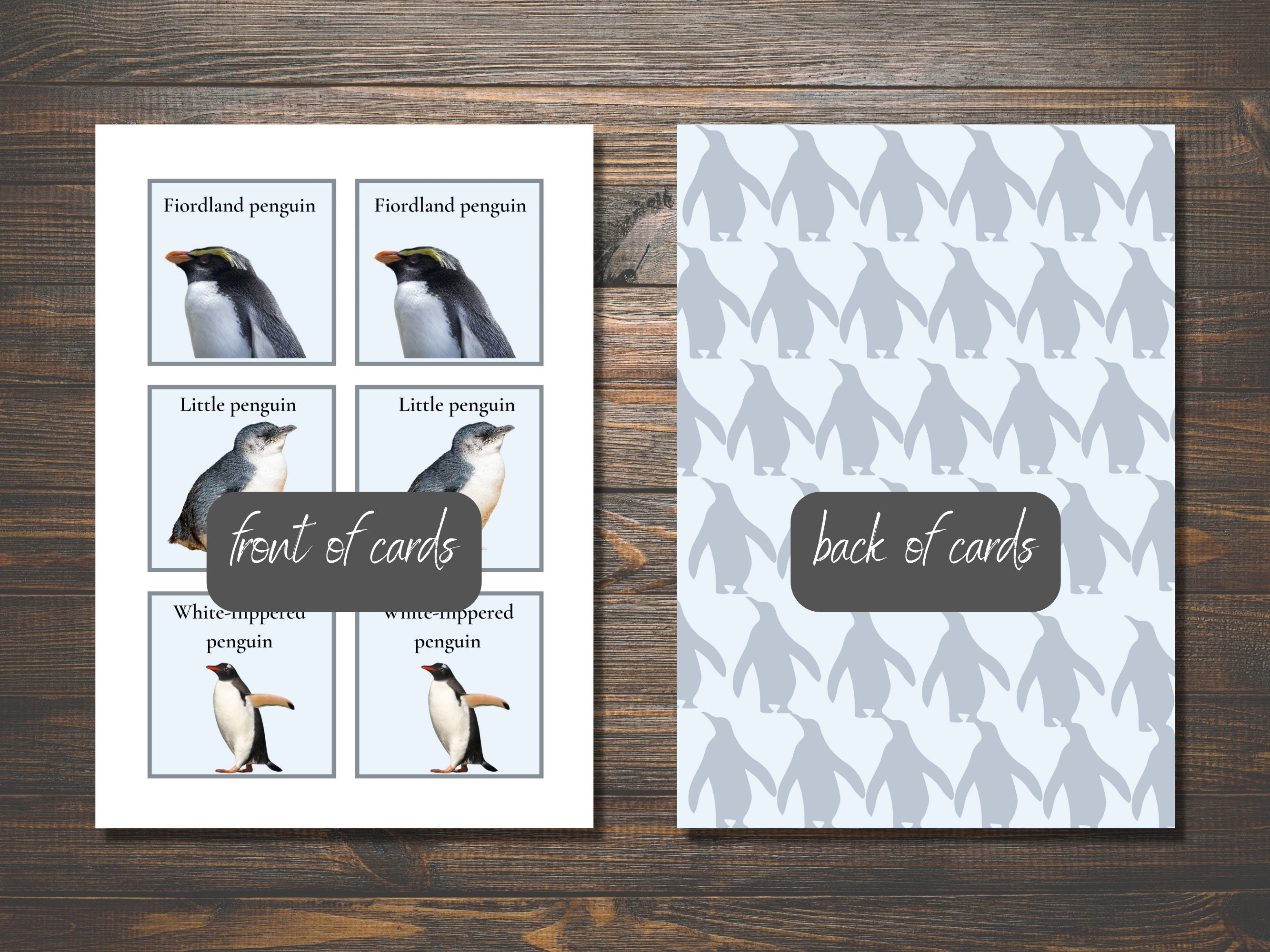 Penguin Memory Game for Kids Penguin Homeschool Unit Study Learning Games for Preschool, Pre-k ...