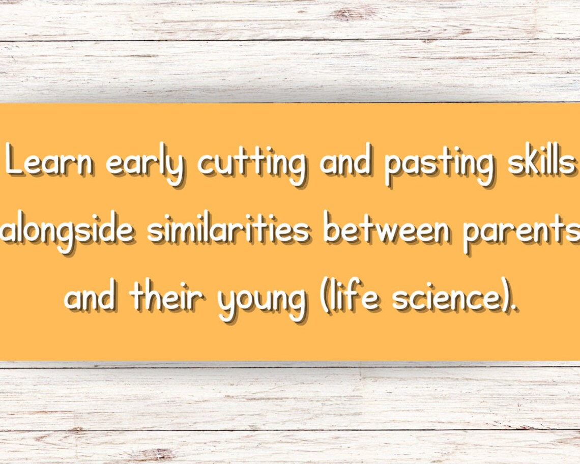 Montessori Inspired Preschool Cutting Strips Early Scissor Skills ...