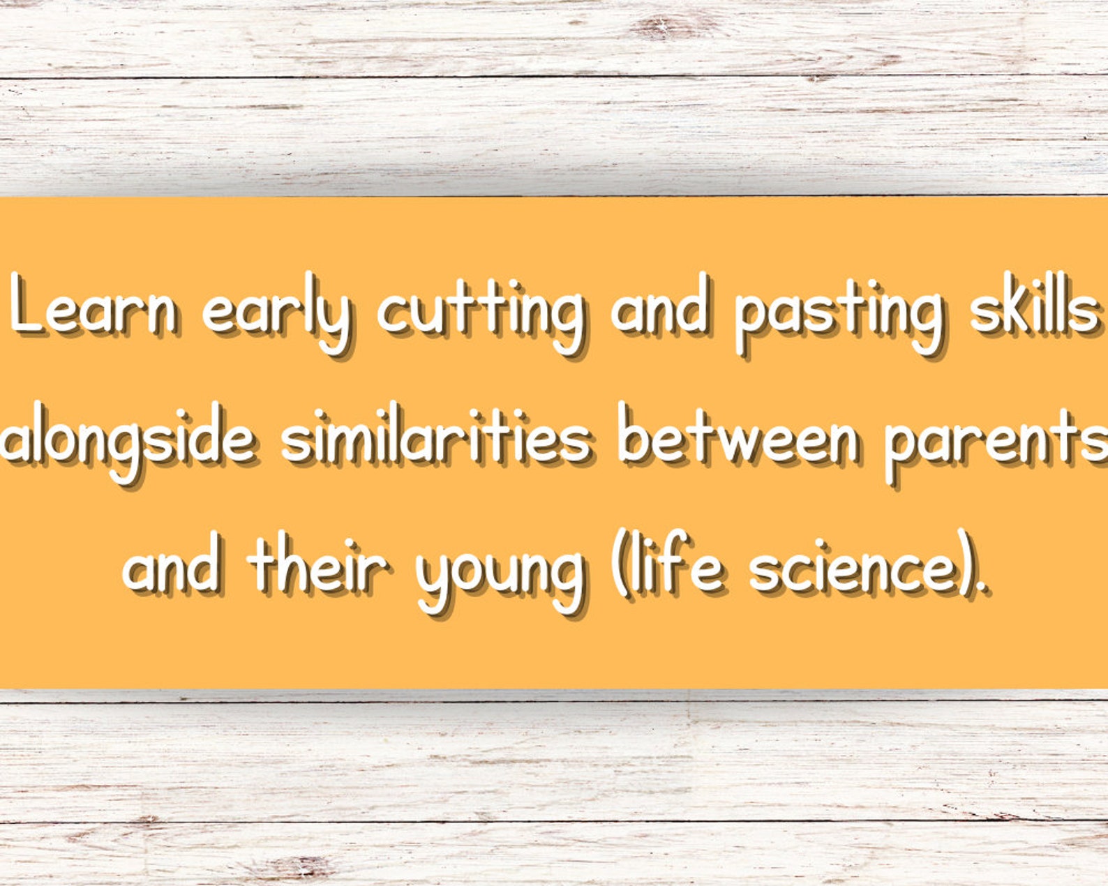Montessori Inspired Preschool Cutting Strips Early Scissor Skills ...