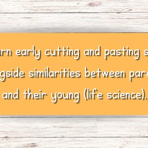 Montessori Inspired Preschool Cutting Strips | Early Scissor Skills ...