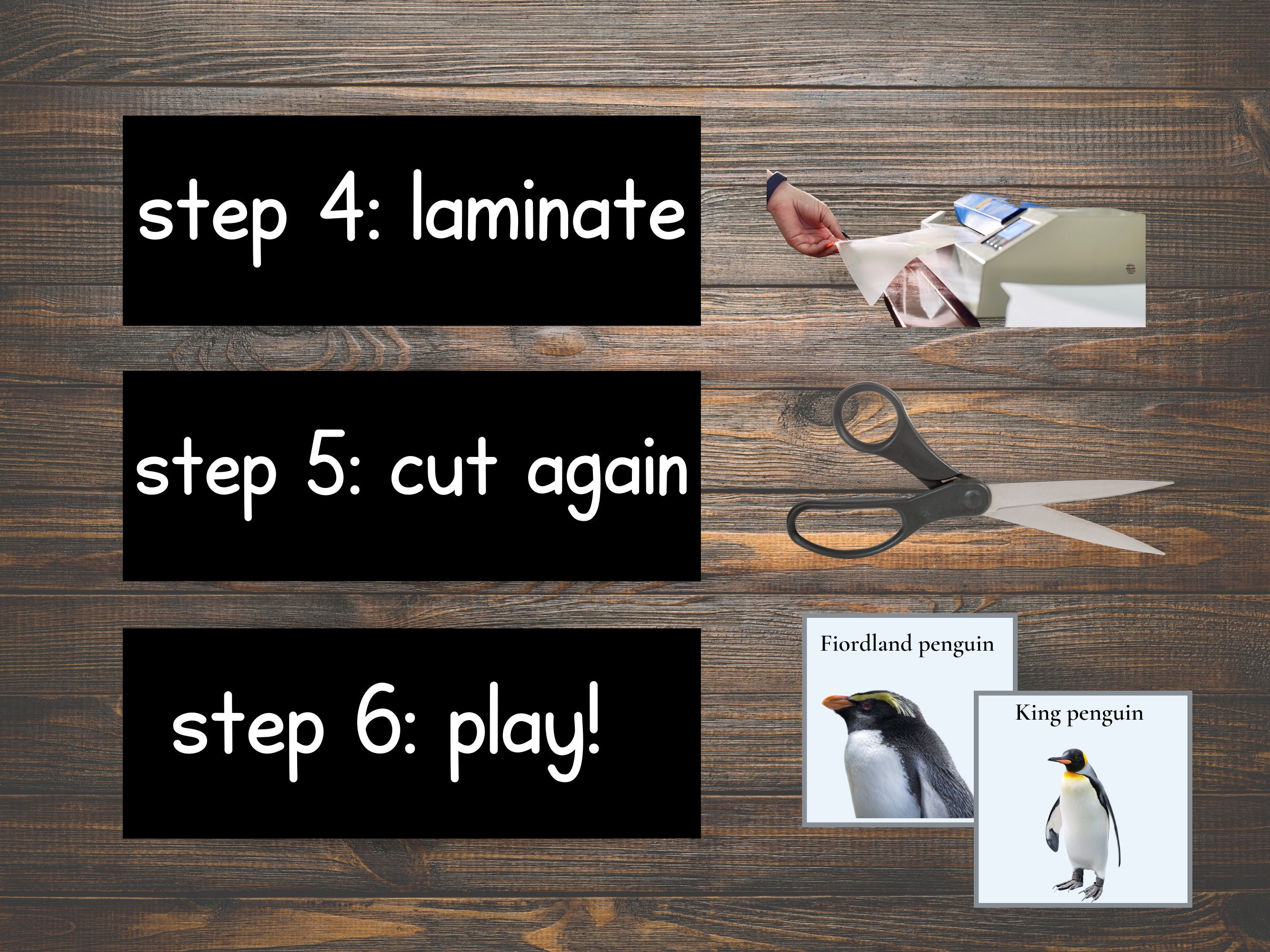 Penguin Memory Game for Kids Penguin Homeschool Unit Study Learning ...