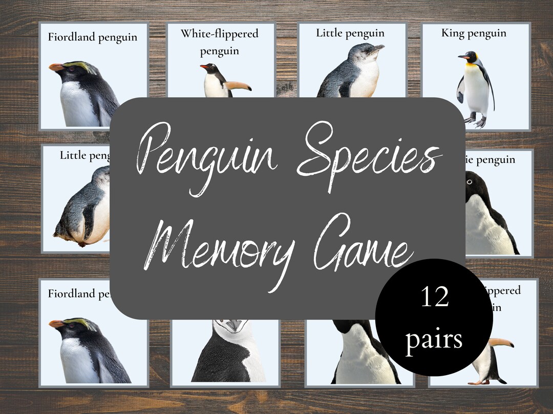 Penguin Memory Game for Kids | Penguin Homeschool Unit Study | Learning ...