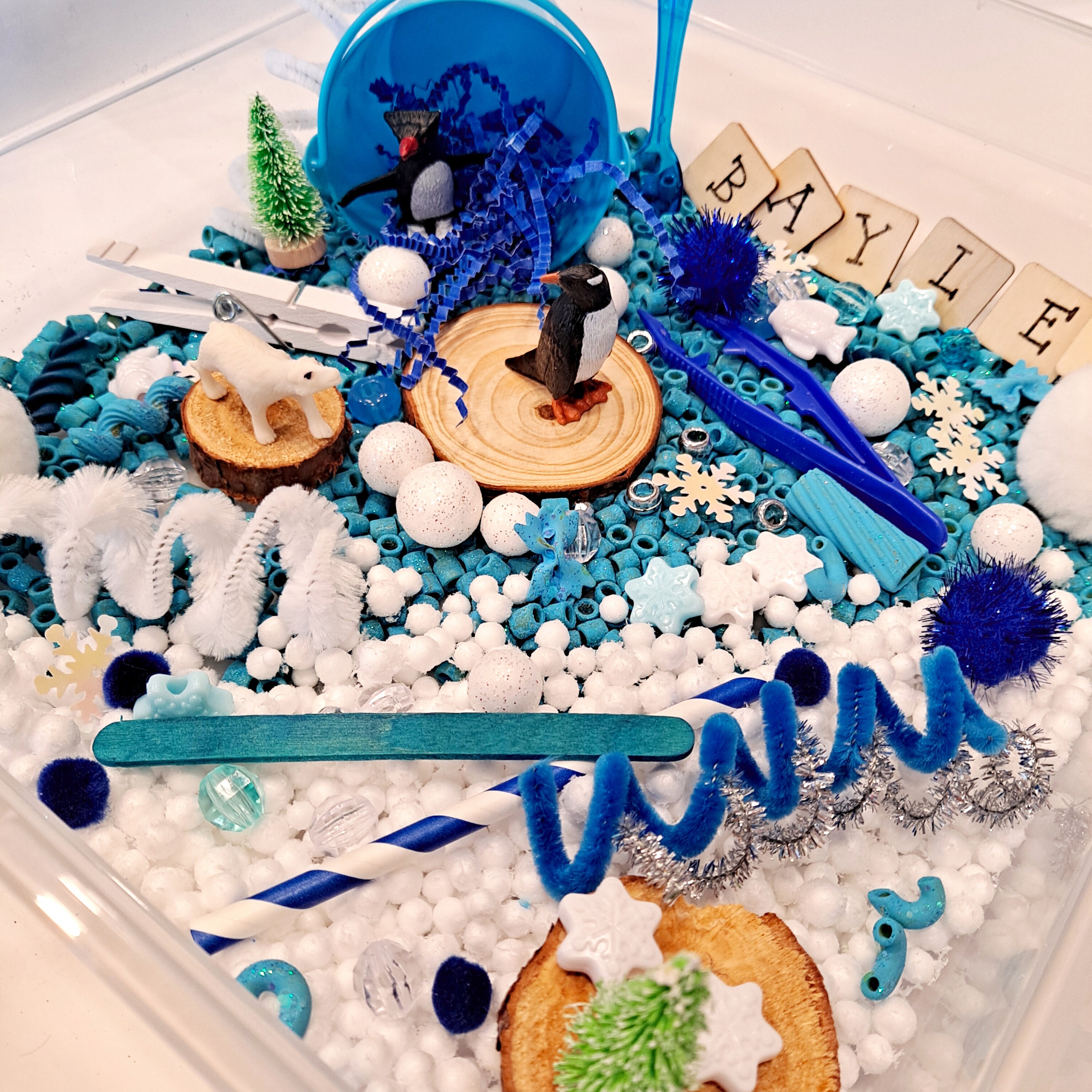 Arctic Animal Bizzy Bin L Penguin Sensory Kit L Winter Sensory - Etsy