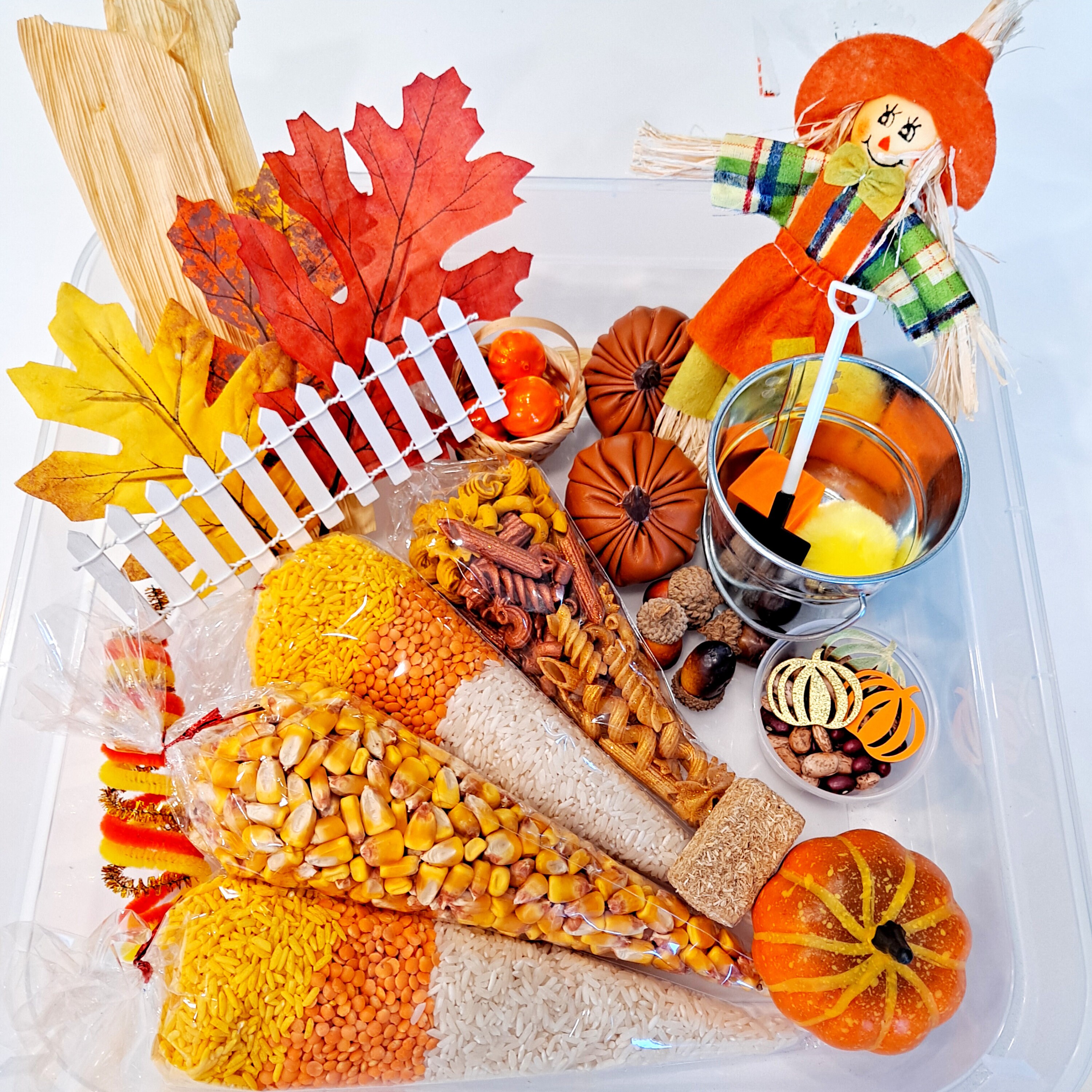 Fall Pumpkin Patch Bizzy Bin L Autumn Sensory Kit L Harvest - Etsy