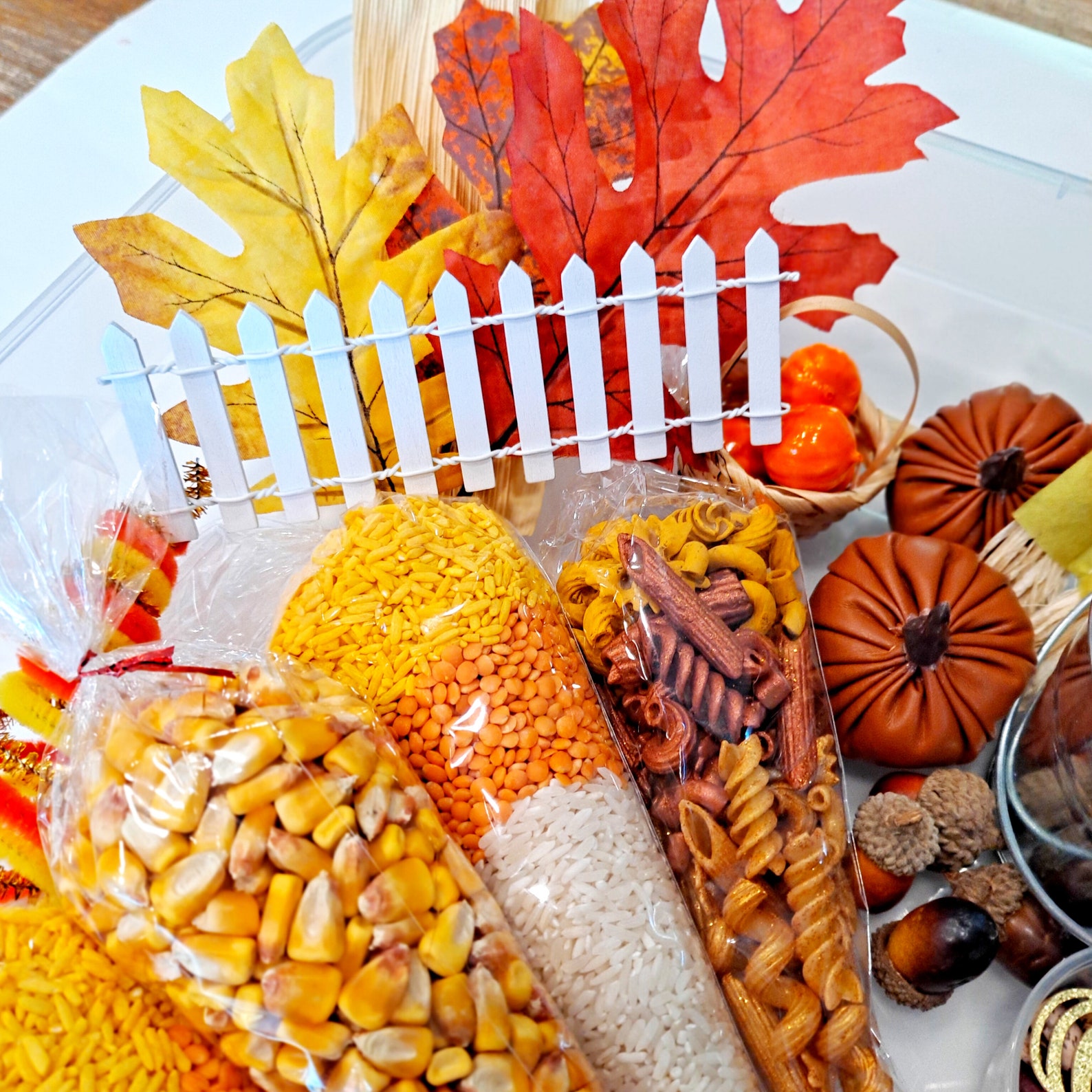 Fall Pumpkin Patch Bizzy Bin L Autumn Sensory Kit L Harvest - Etsy