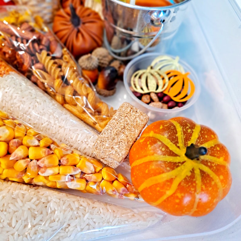 Fall Pumpkin Patch Bizzy Bin L Autumn Sensory Kit L Harvest - Etsy