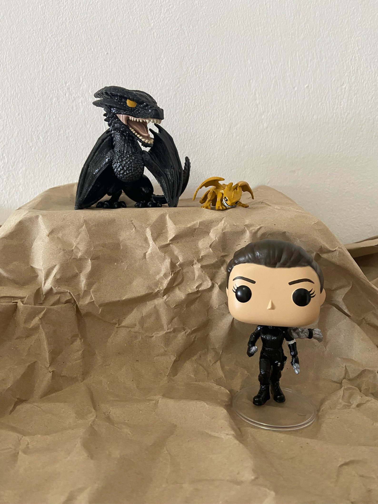 Fourth Wing Funko - Etsy