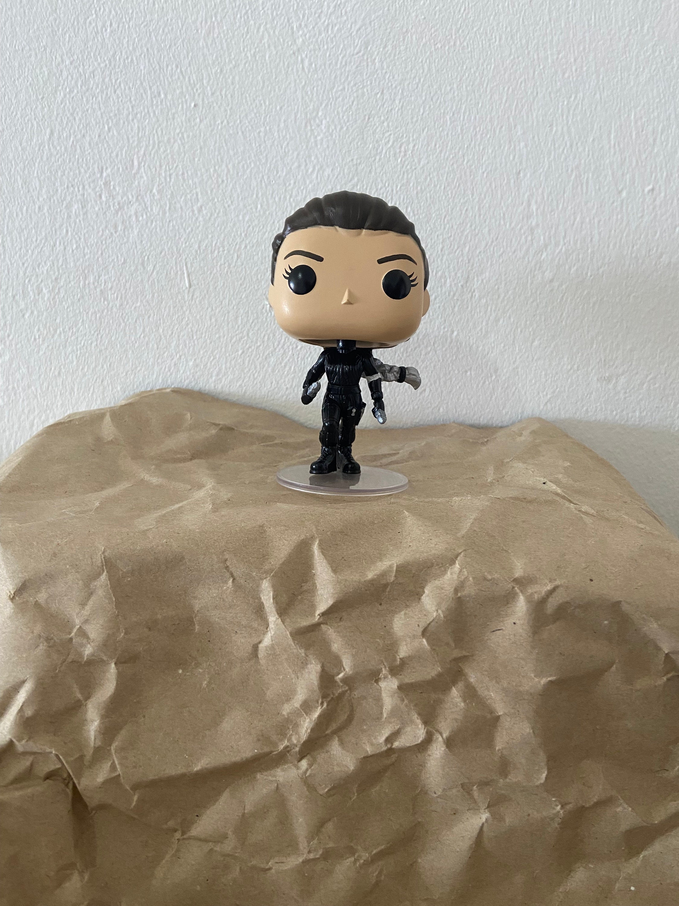 Fourth Wing Funko - Etsy